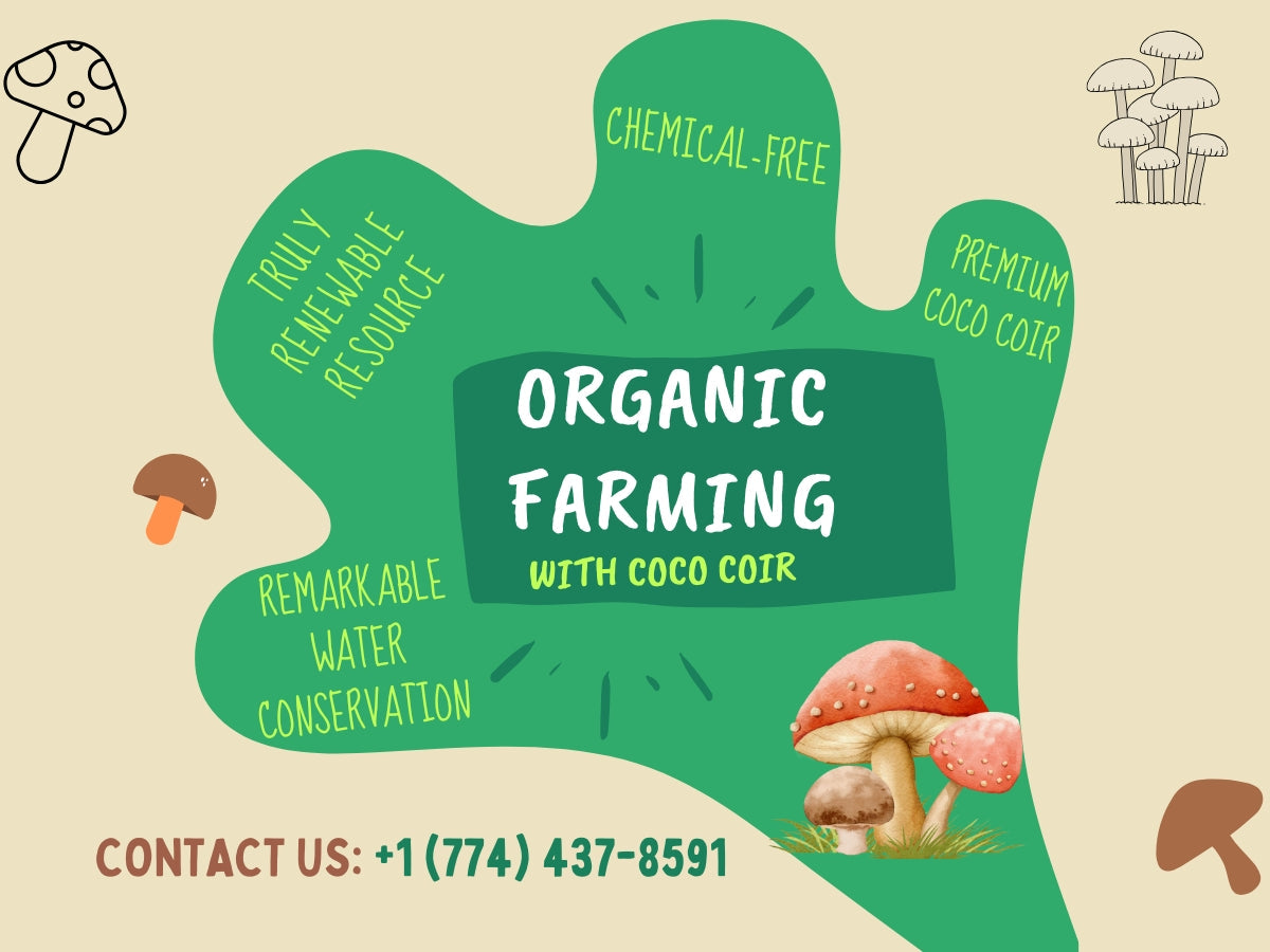 Why Use Organic Coco Coir for Mushroom Cultivation | TrueCoirs