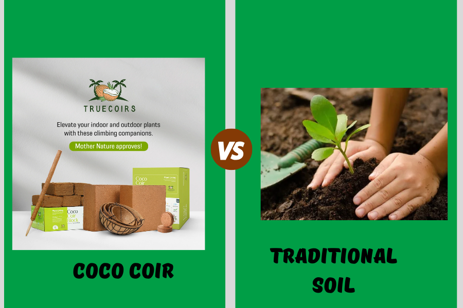 Coco Coir vs. Traditional Soil: Best Choice for Your Plants?– TrueCoirs