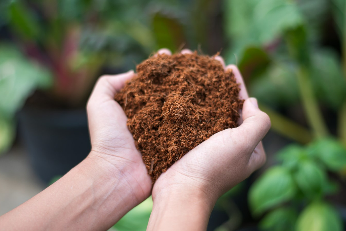 True Coirs Loose Coco: Organic Coco Coir Benefits & Uses– TrueCoirs